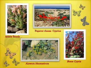 Flora and Fauna of Cyprus Eco Map | PPTX