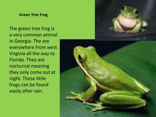 Flora and fauna of georgia | PPTX