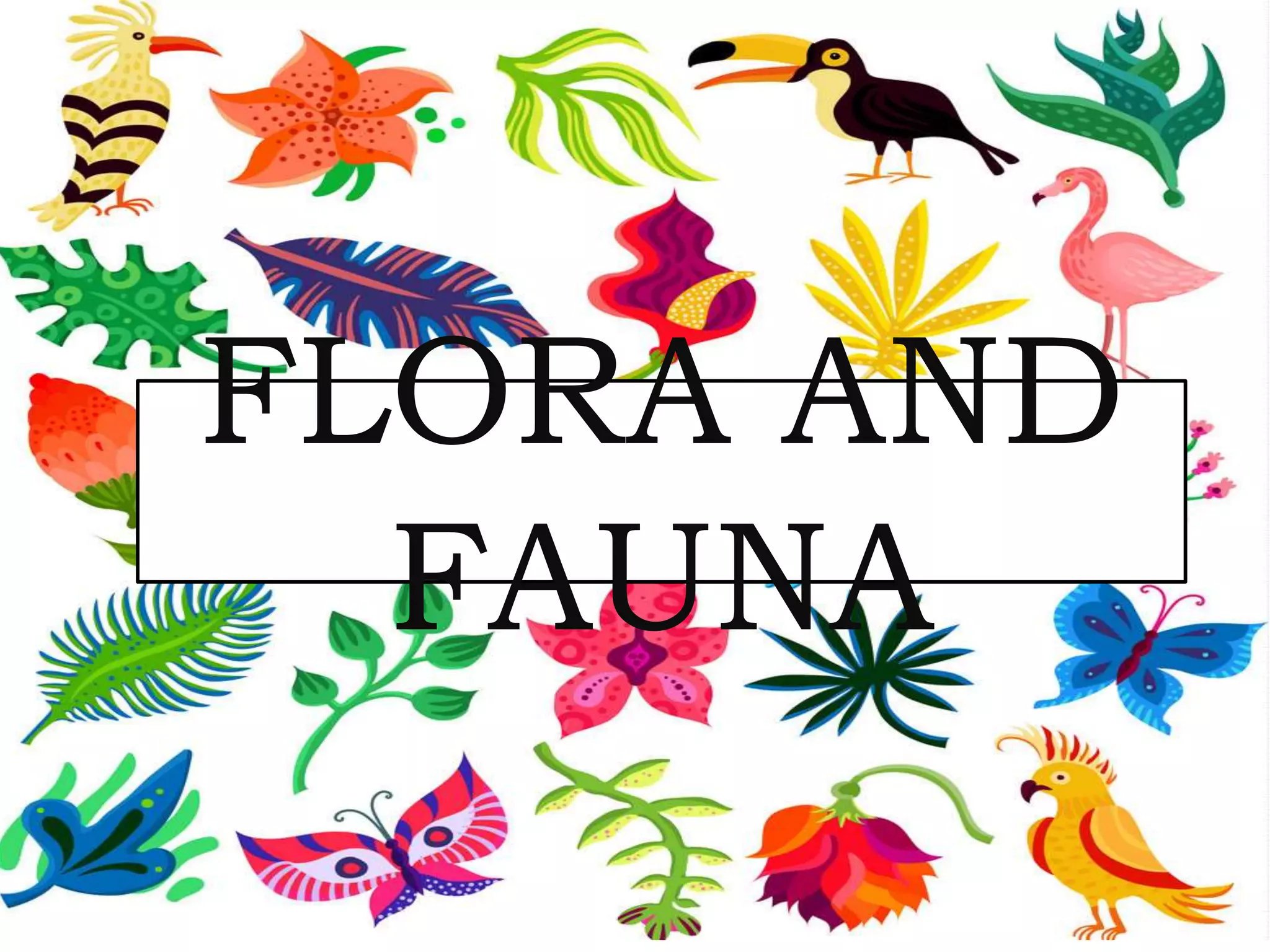 FLORA AND FAUNA ppt.pptx