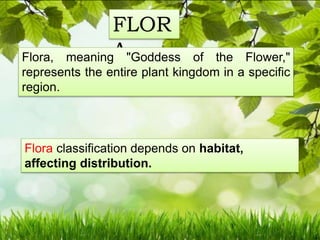 FLORA AND FAUNA ppt.pptx