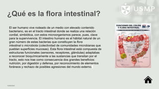 Flora bacteriana intestinal función y características | PPTX