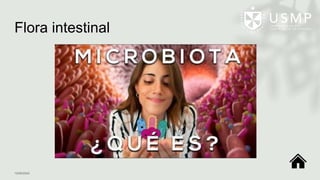 Flora bacteriana intestinal función y características | PPTX