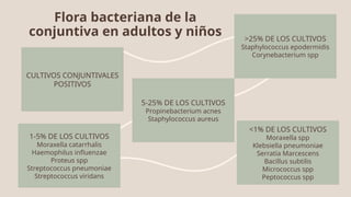 FLORA BACTERIANA NORMAL EN REGION OCULAR.pptx