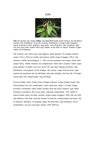Flora dan fauna | DOCX