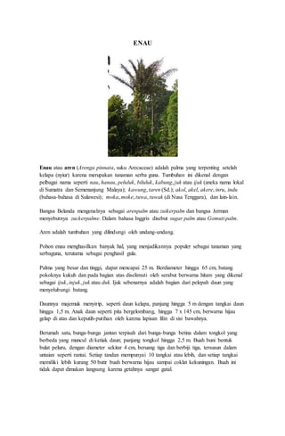 Flora dan fauna | DOCX