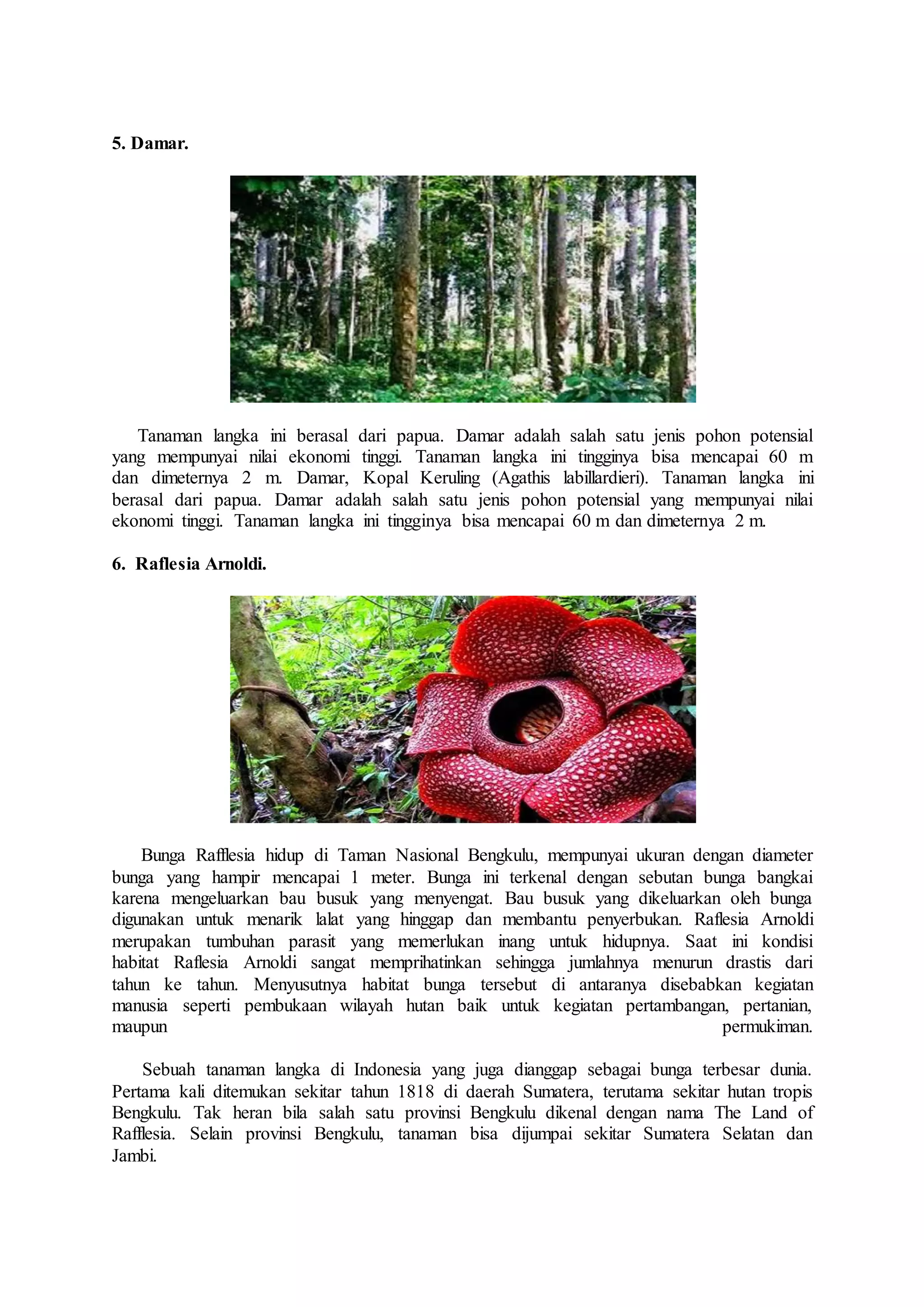 Flora dan fauna di indonesia | DOCX