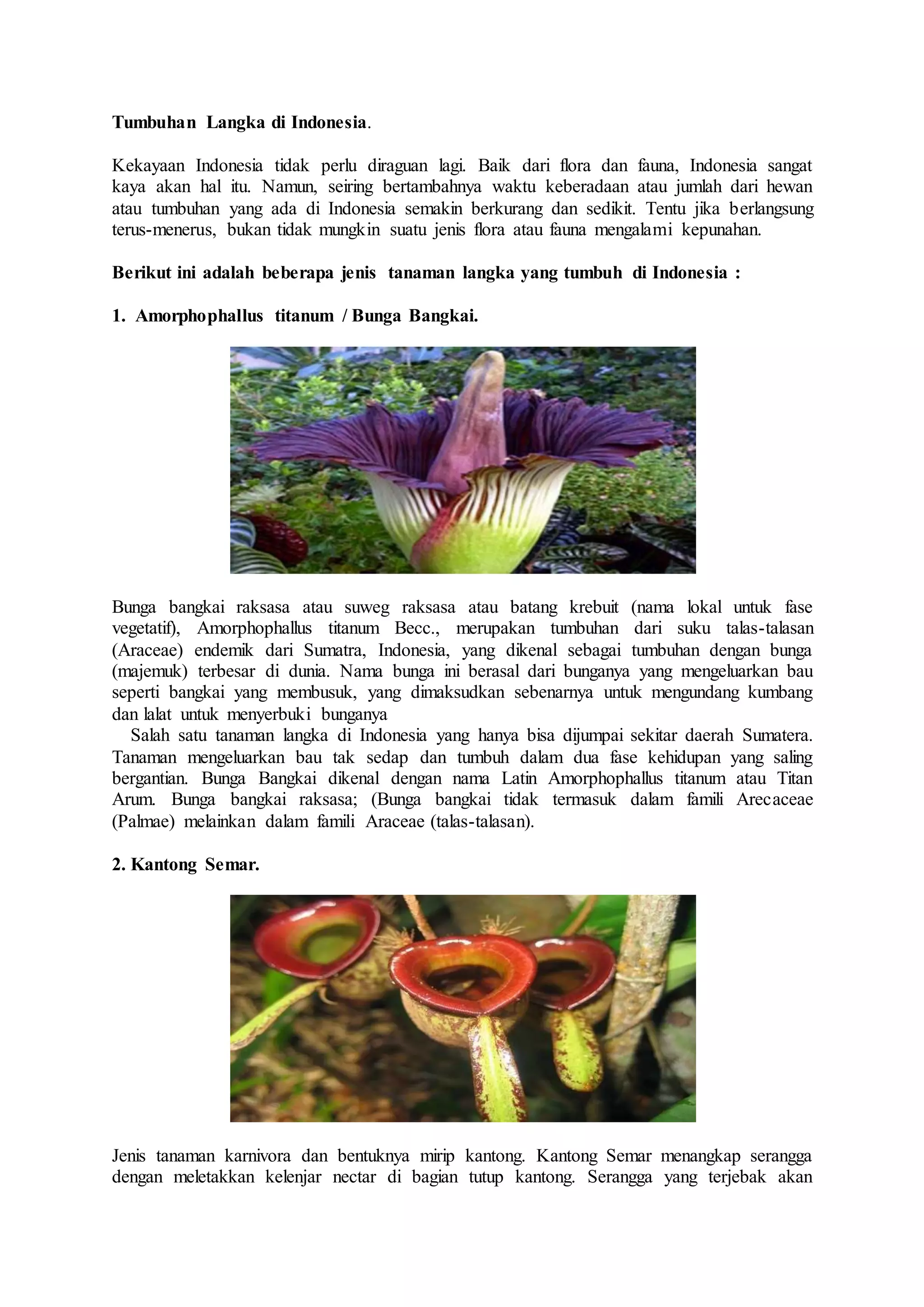 Flora dan fauna di indonesia | DOCX