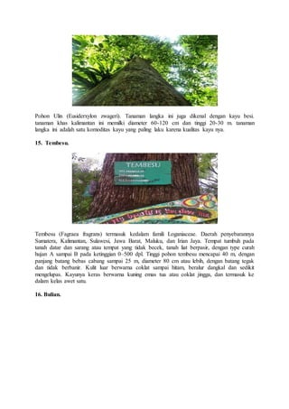Flora dan fauna di indonesia | DOCX
