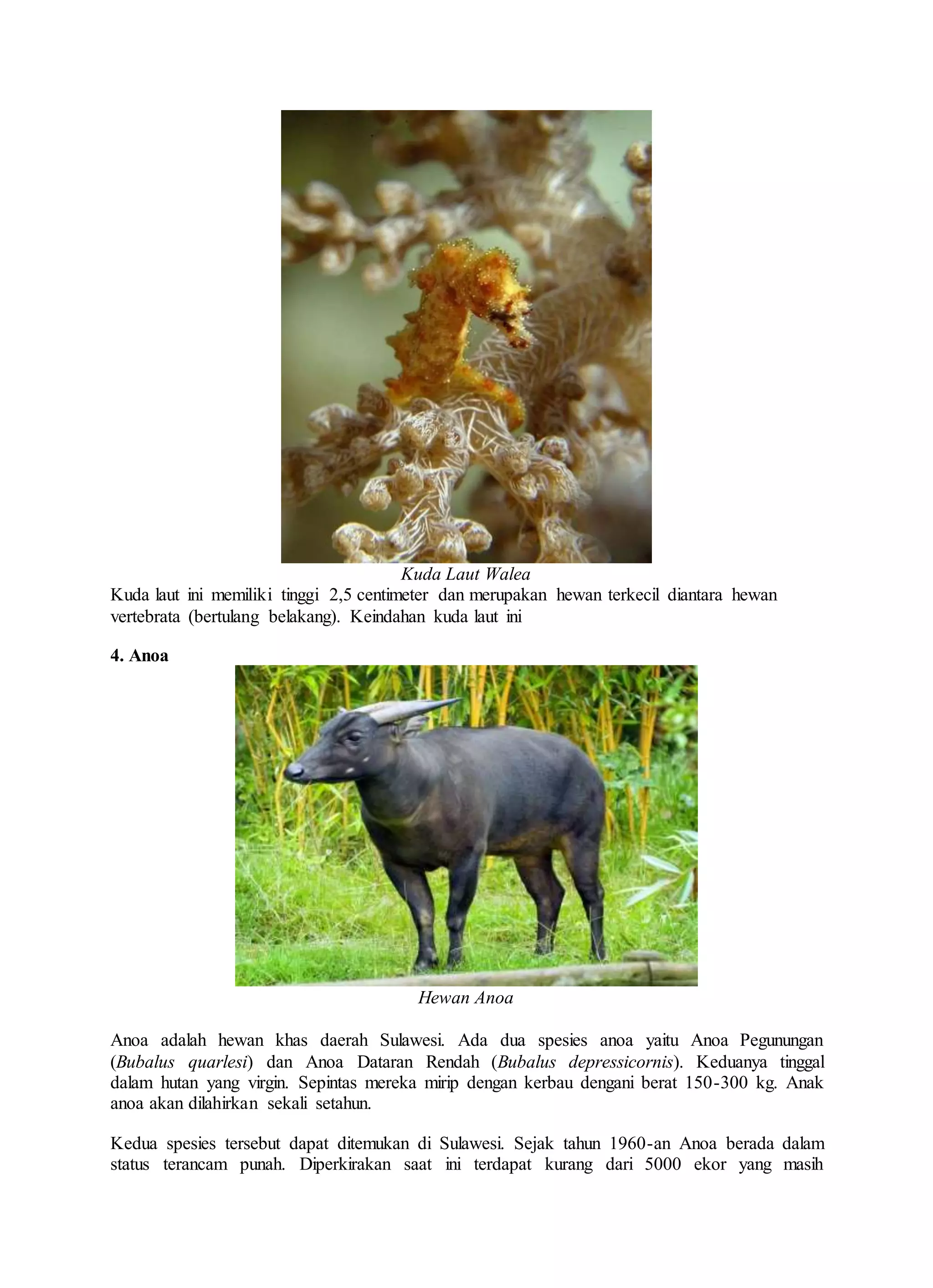Flora dan fauna langka | DOCX