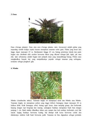 Flora dan fauna langka | DOCX