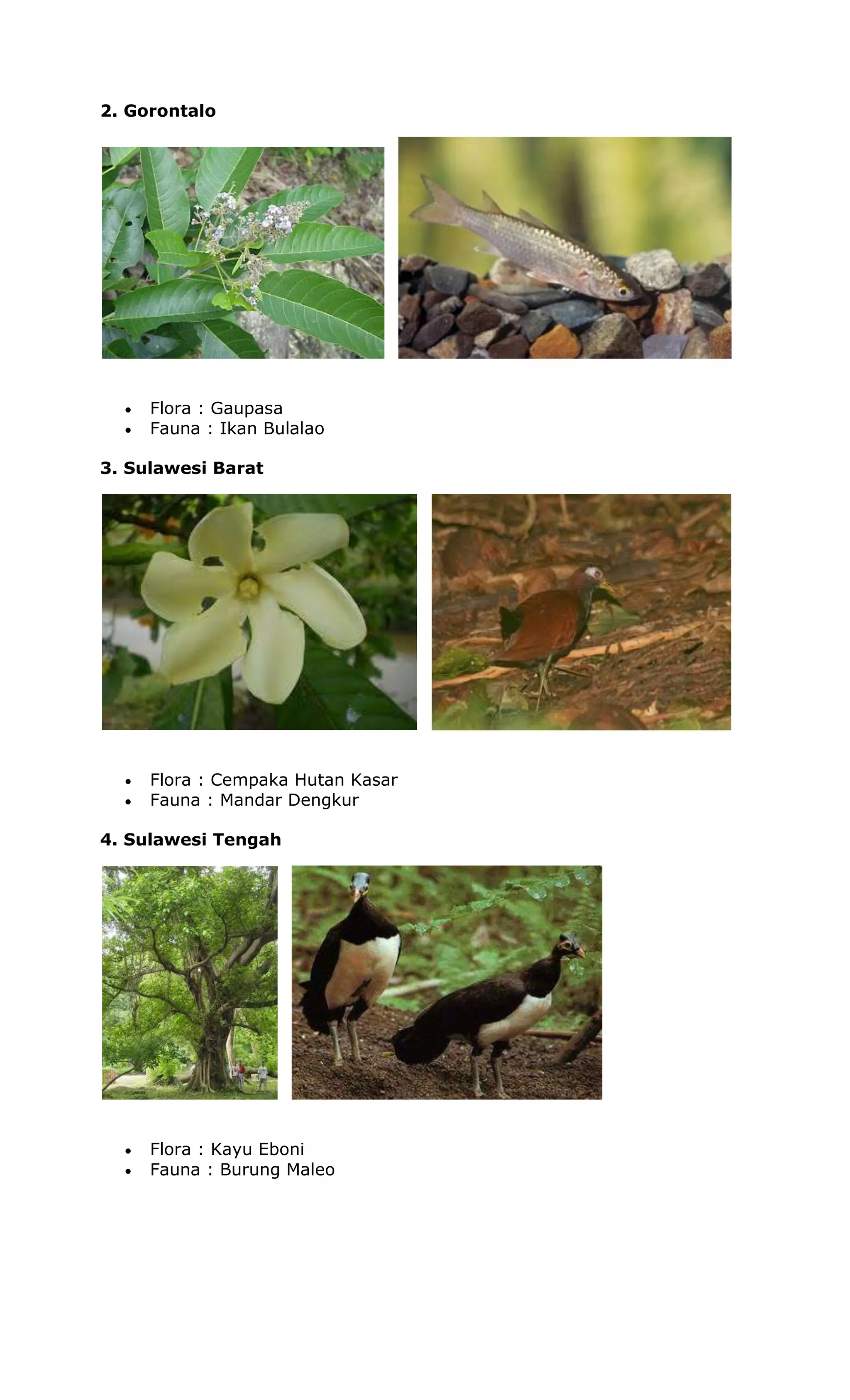 Flora dan fauna wilayah barat | DOCX