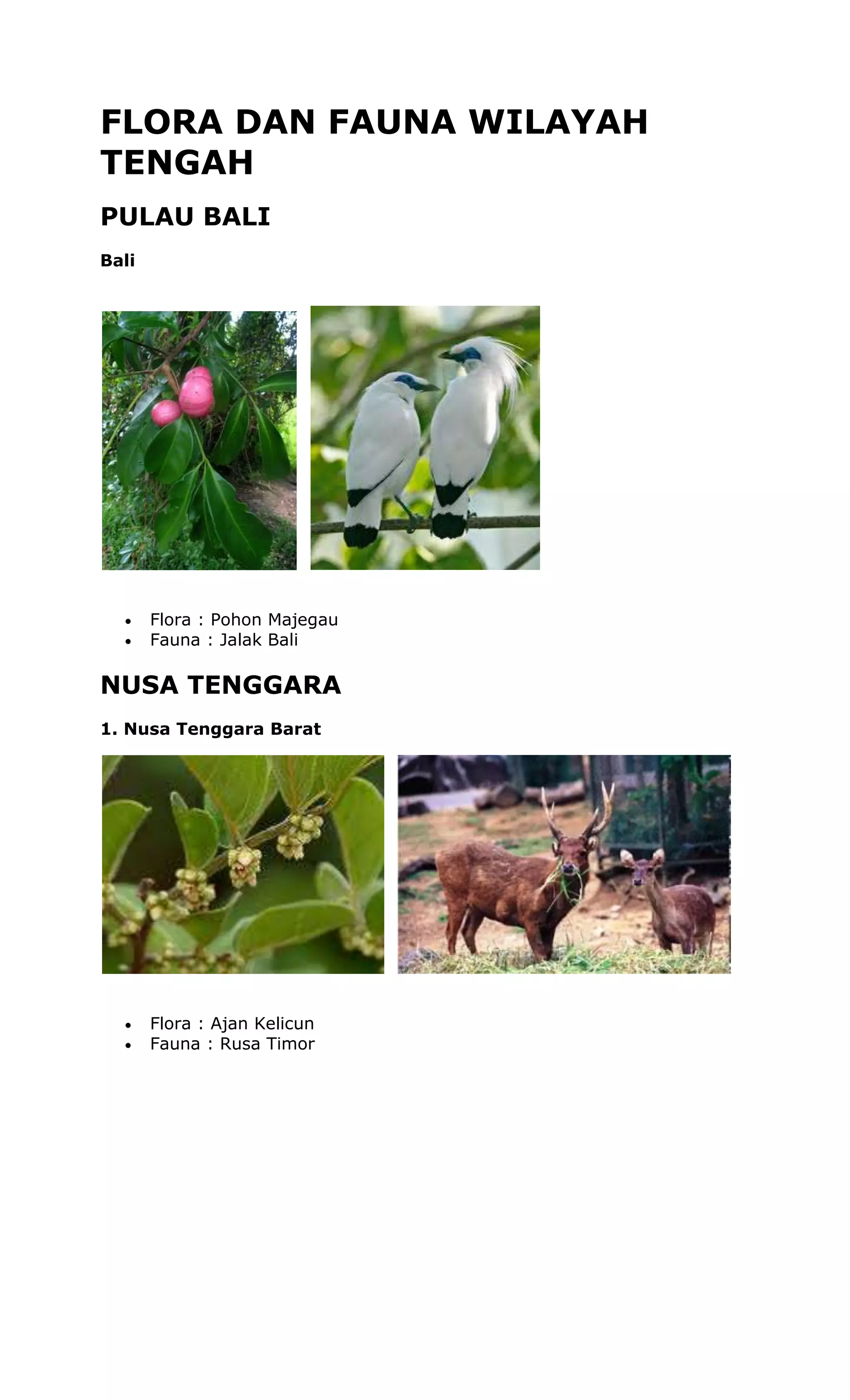 Flora dan fauna wilayah barat | DOCX