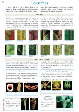 Flora da Reserva Ducke-Amazonas-Brasil-LIBRO-1999.pdf