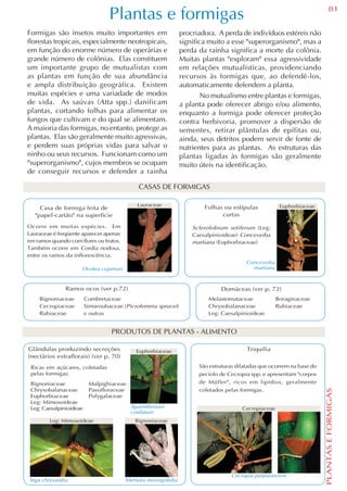 Flora da Reserva Ducke-Amazonas-Brasil-LIBRO-1999.pdf