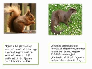 Flora dhe fauna e beratit gjeografi | PPT