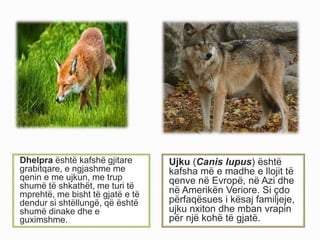 Flora dhe fauna e beratit gjeografi | PPT