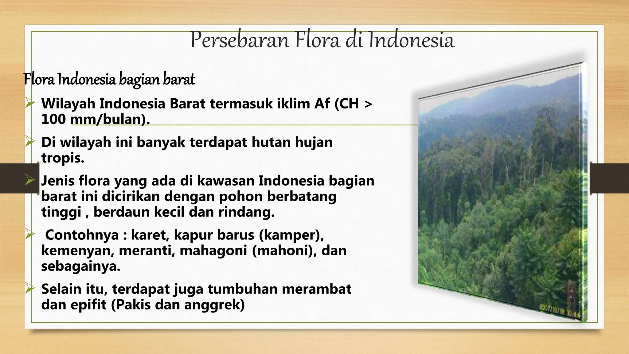 FLORA DI INDONESIA KELOMPOK 4.pptx