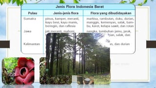 FLORA DI INDONESIA KELOMPOK 4.pptx