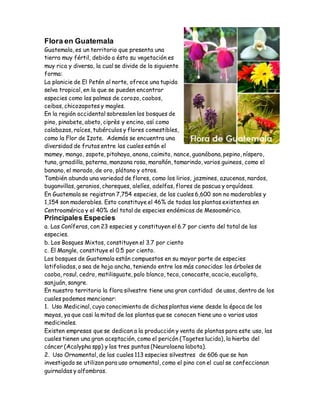 Flora en guatemala | DOCX