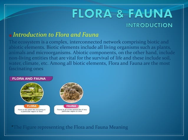 FLORA & FAUNA.pptx | Zoos & Aquariums | Attractions