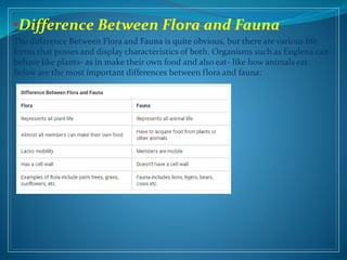 FLORA & FAUNA.pptx