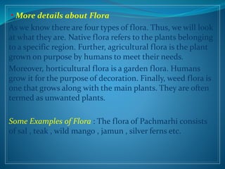 FLORA & FAUNA.pptx