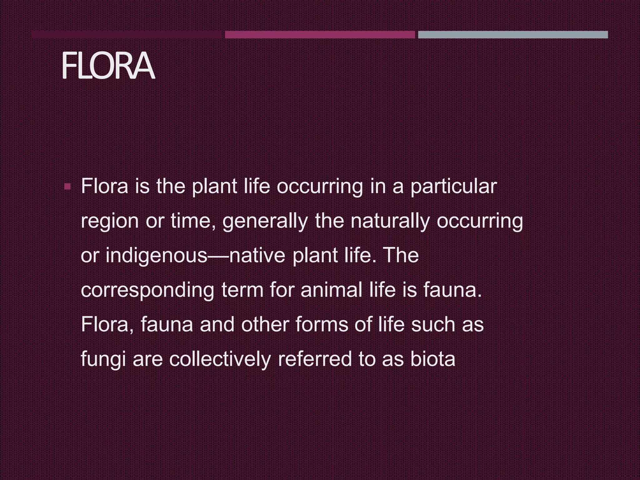 Flora & Fauna.pptx