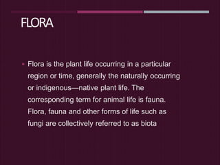 Flora & Fauna.pptx