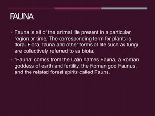 Flora & Fauna.pptx