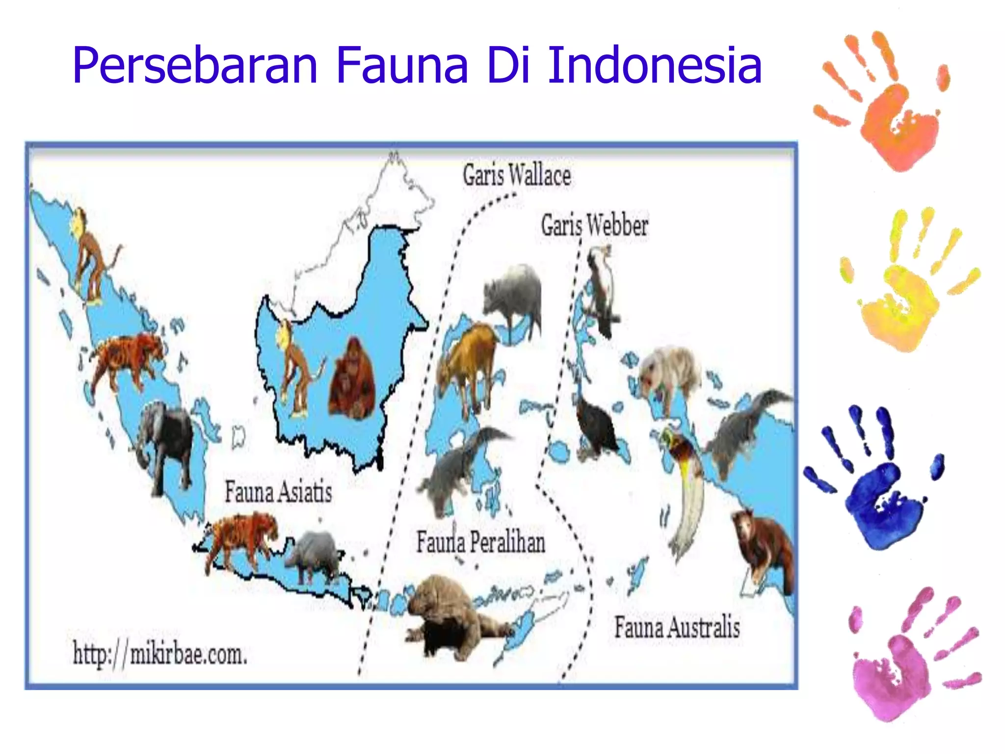 Flora & fauna indonesia | PPT