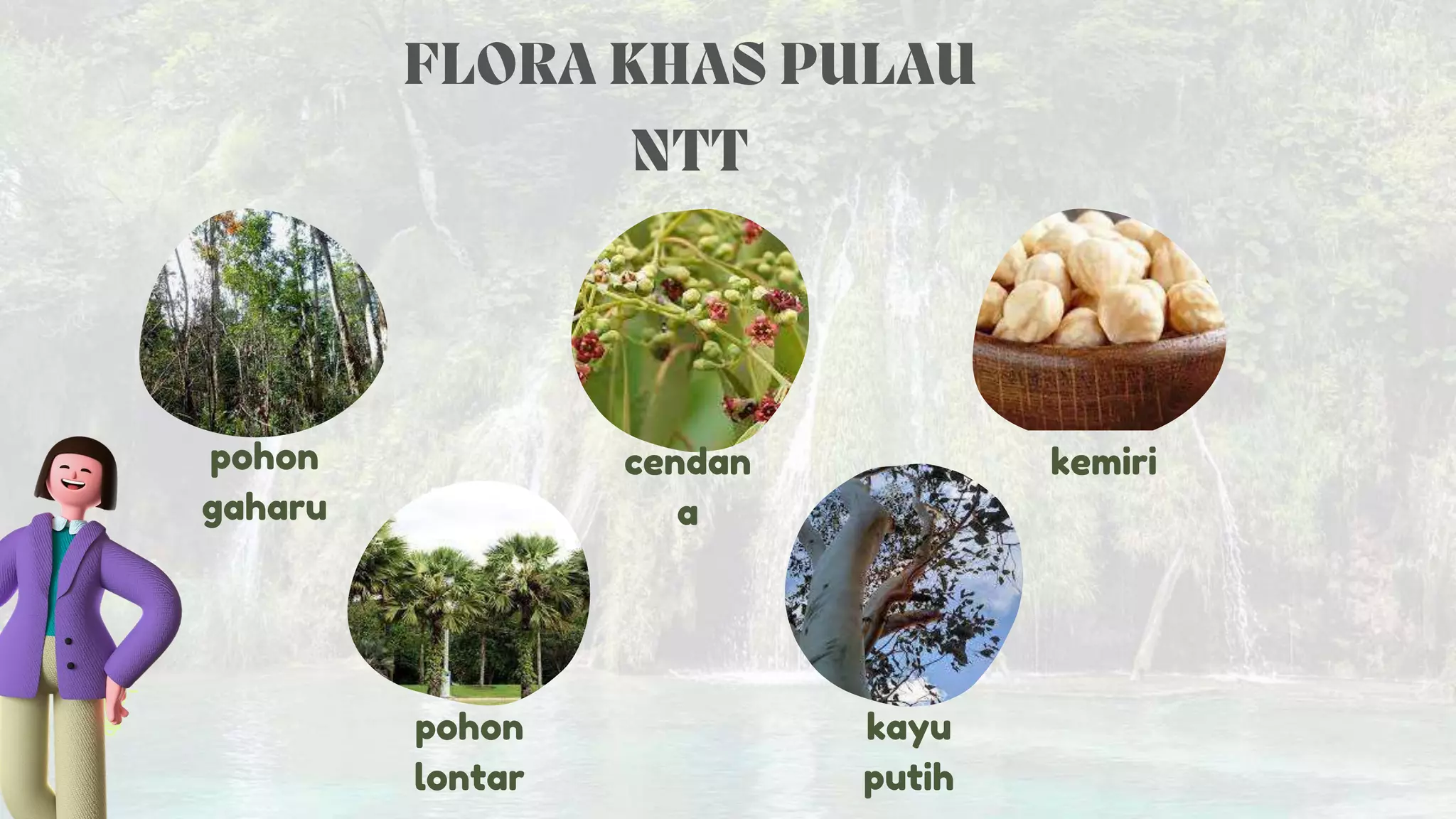FLORA FAUNA NUSA TENGGARA.pptx