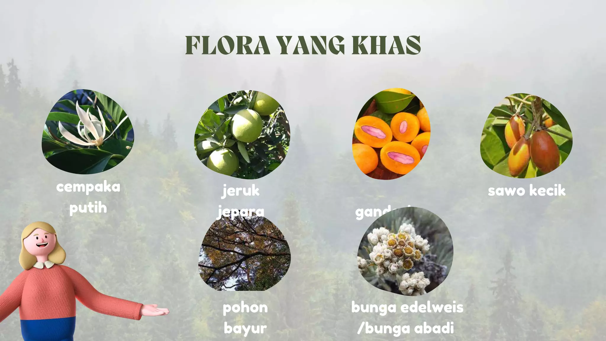 FLORA FAUNA NUSA TENGGARA.pptx