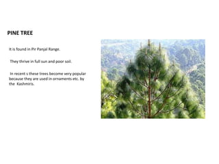 FLORA & FAUNA OF J&K.pptx