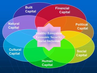Flora icsb presentation pdf | PPT