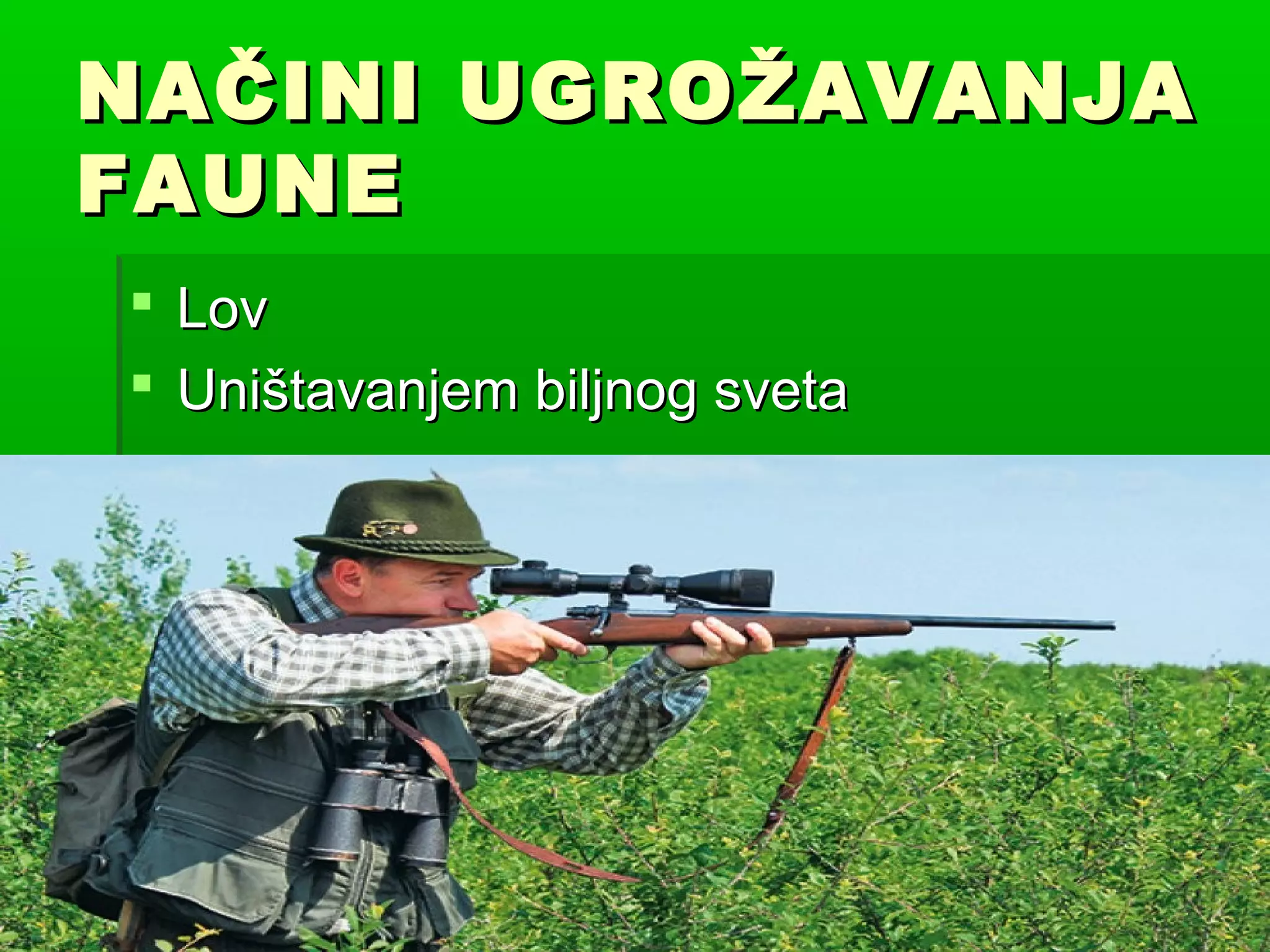 Flora i fauna Srbije | PPT