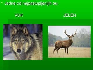 Flora i fauna Srbije | PPT
