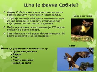 Флора и фауна Србије Миља Зец | PPTX