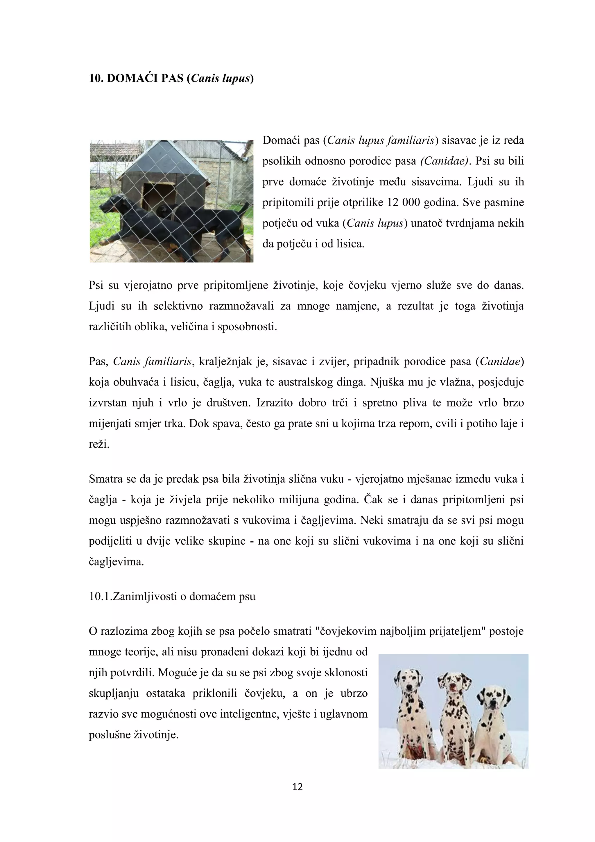 Flora i fauna_mog_kvarta_-_benjamin_m. | PDF