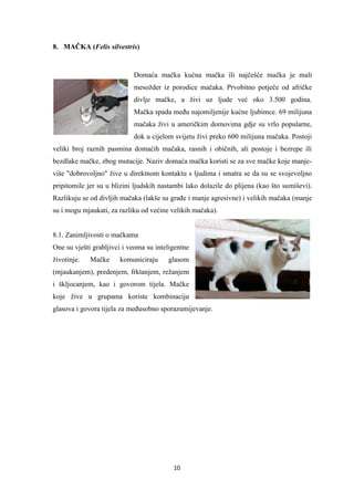 Flora i fauna_mog_kvarta_-_benjamin_m. | PDF