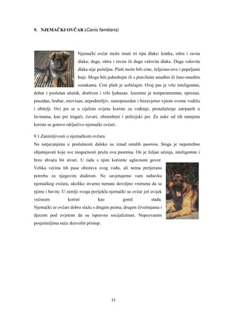 Flora i fauna_mog_kvarta_-_benjamin_m. | PDF