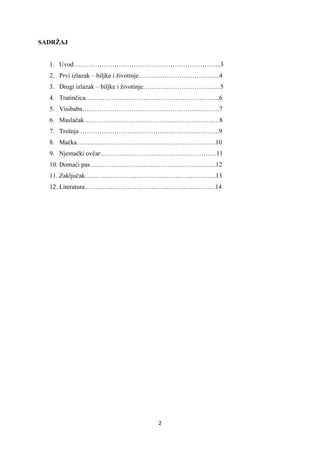 Flora i fauna_mog_kvarta_-_benjamin_m. | PDF