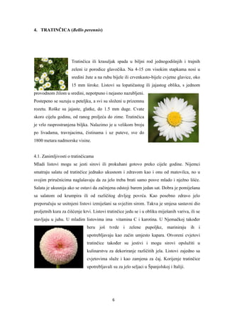 Flora i fauna_mog_kvarta_-_benjamin_m. | PDF