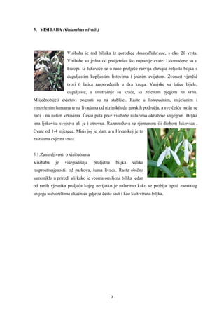 Flora i fauna_mog_kvarta_-_benjamin_m. | PDF