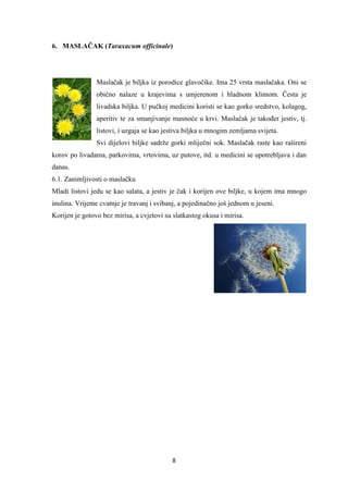 Flora i fauna_mog_kvarta_-_benjamin_m. | PDF