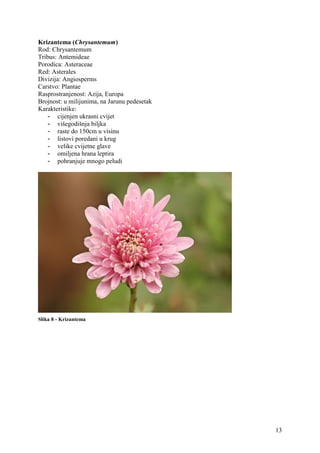 Flora i fauna_mog_kvarta_-_vedran_k. | PDF