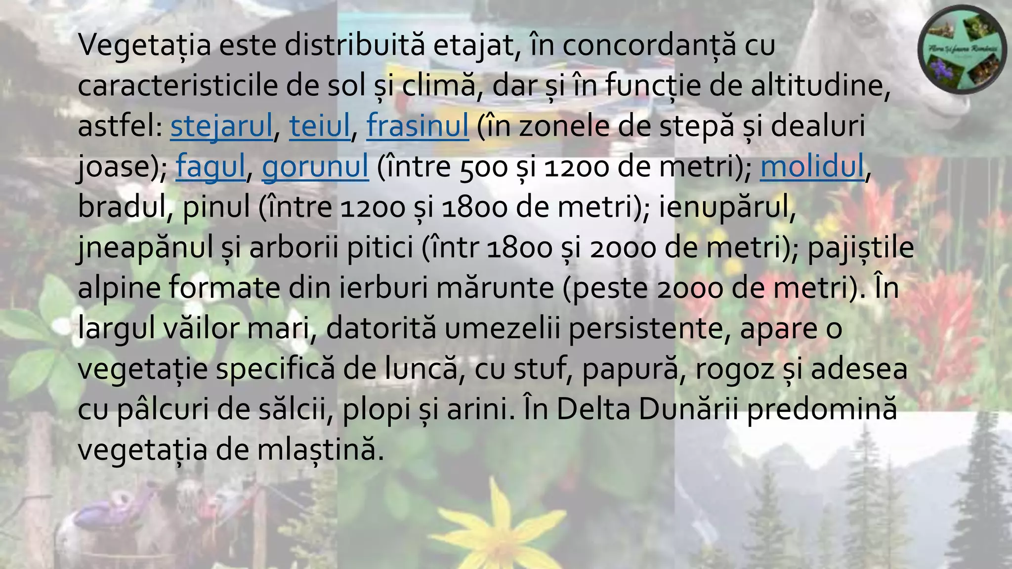 Flora și fauna României | PPTX