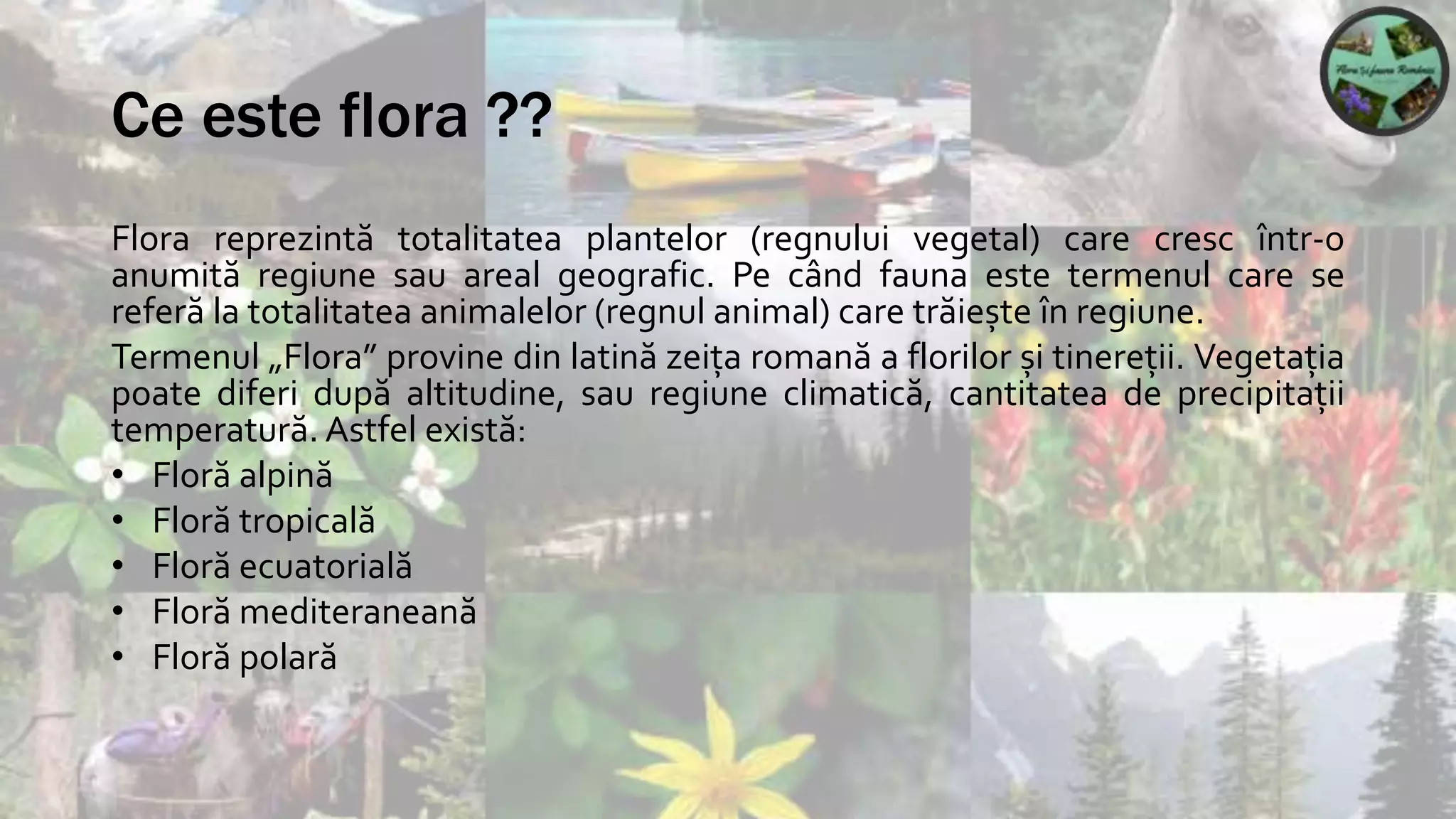 Flora și fauna României | PPTX