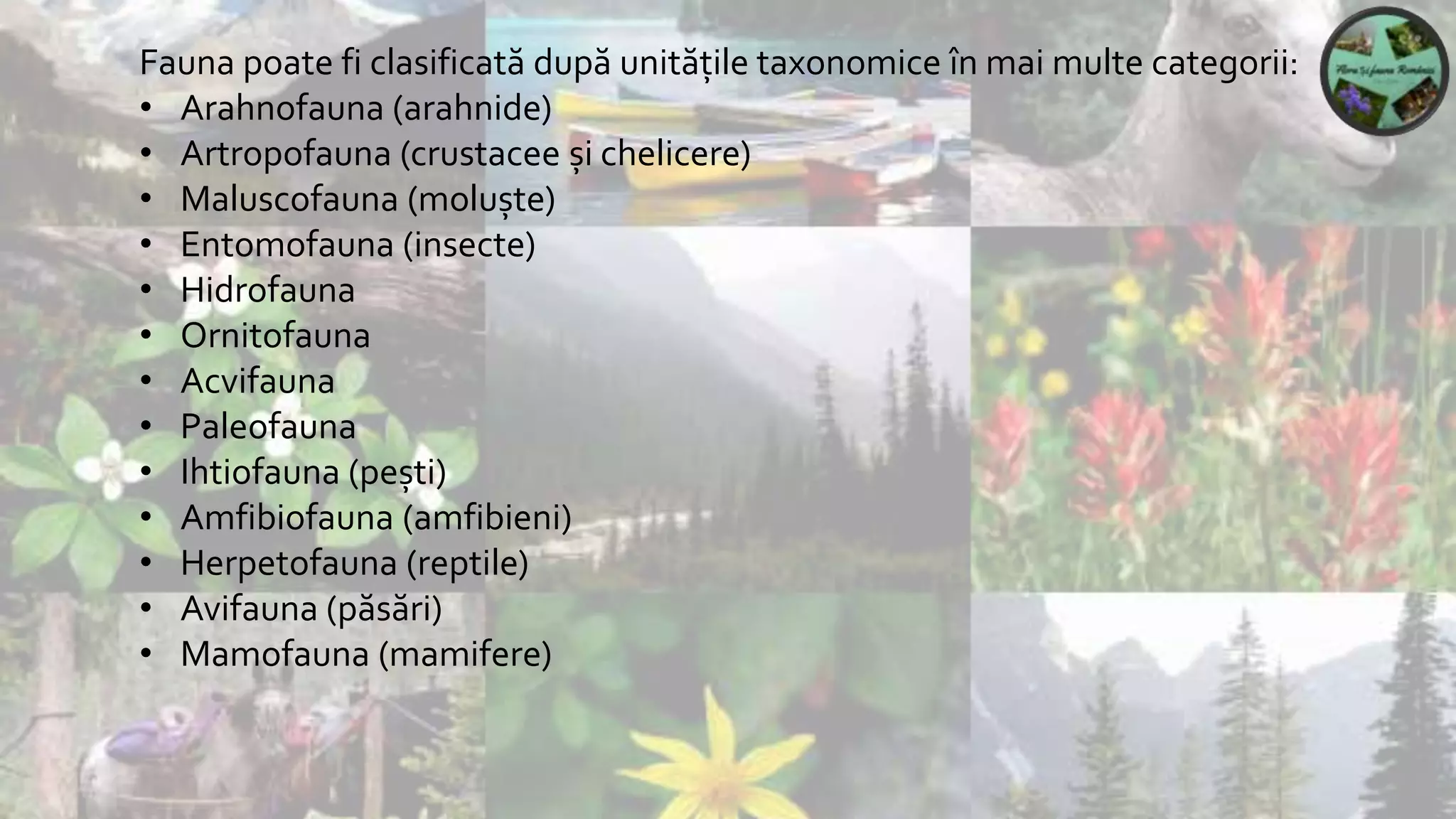 Flora și fauna României | PPTX
