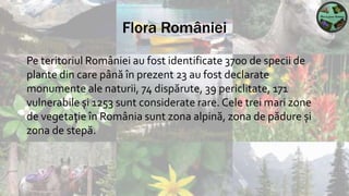 Flora și fauna României | PPTX