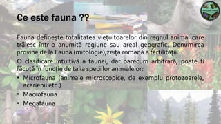 Flora și fauna României | PPTX
